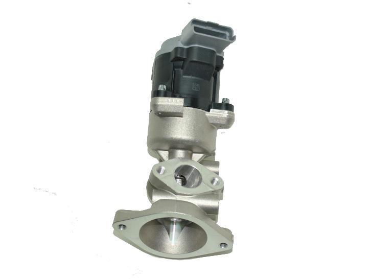 Range rover egr valve store